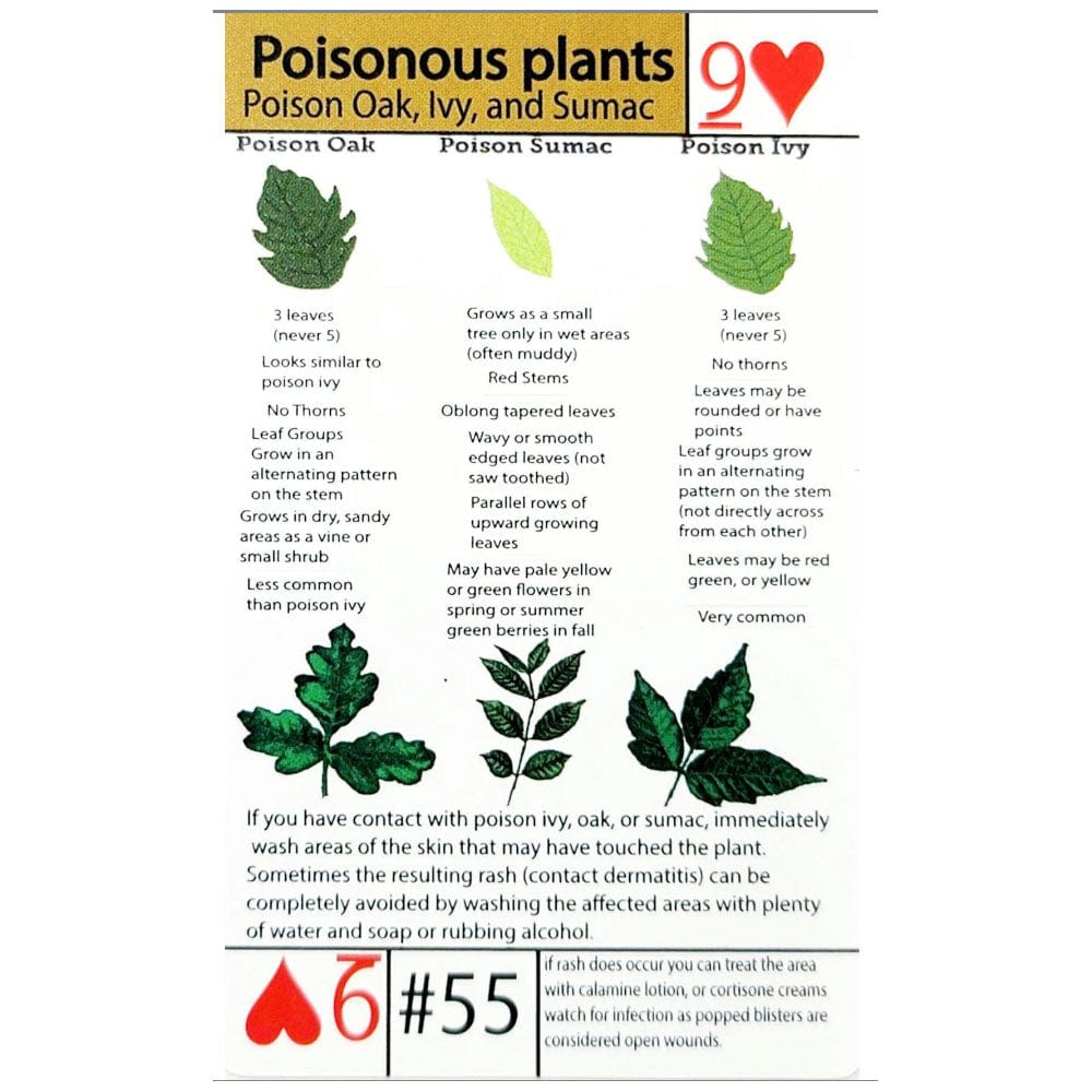 Grim Workshop Tip Card:#55 Tip Card- Poisonous Plant Identification ...