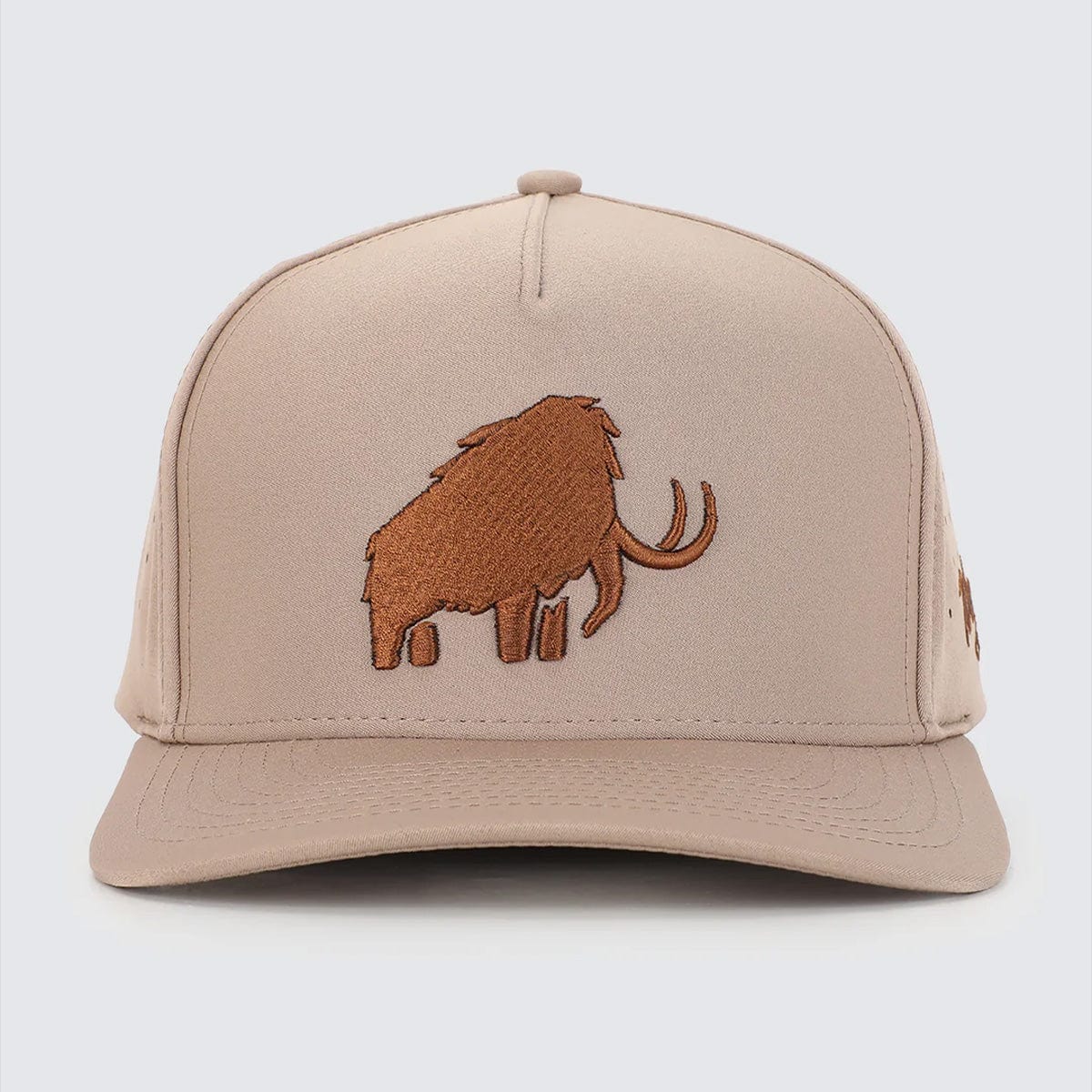 Waggle Mammoth Snapback Hat – Campmor